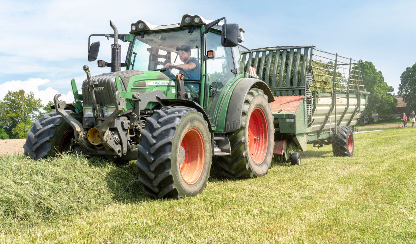 Schnupperlehre als Landwirt/in (Alp- und Berglandwirtschaft) EFZ bei ...